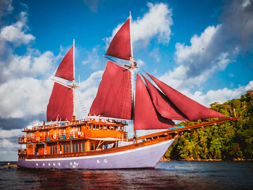 NEOMI GALLERY Diving Indonesia | Komodo | Raja Ampat | Bandaneira