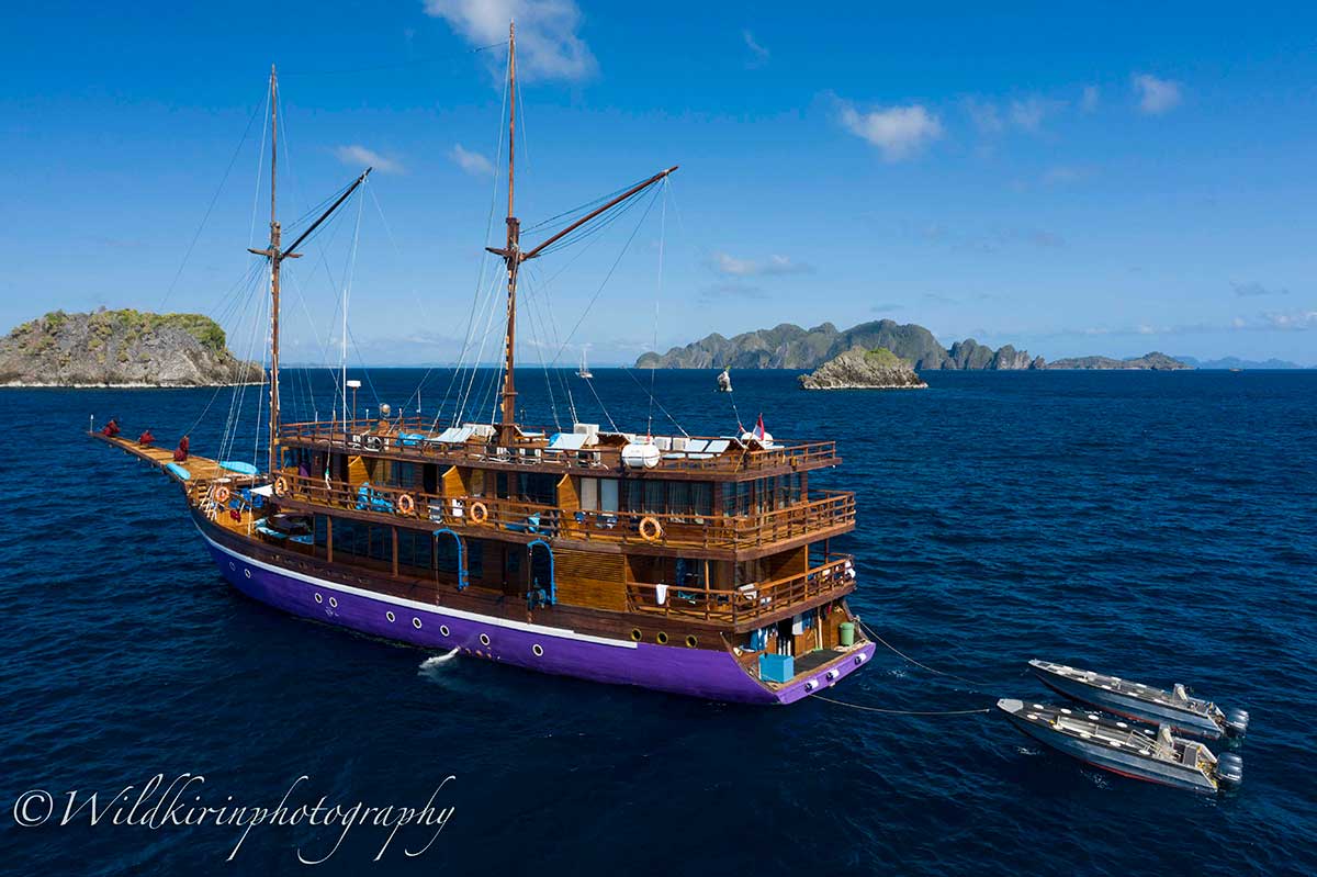 NEOMI GALLERY Diving Indonesia | Komodo | Raja Ampat | Bandaneira