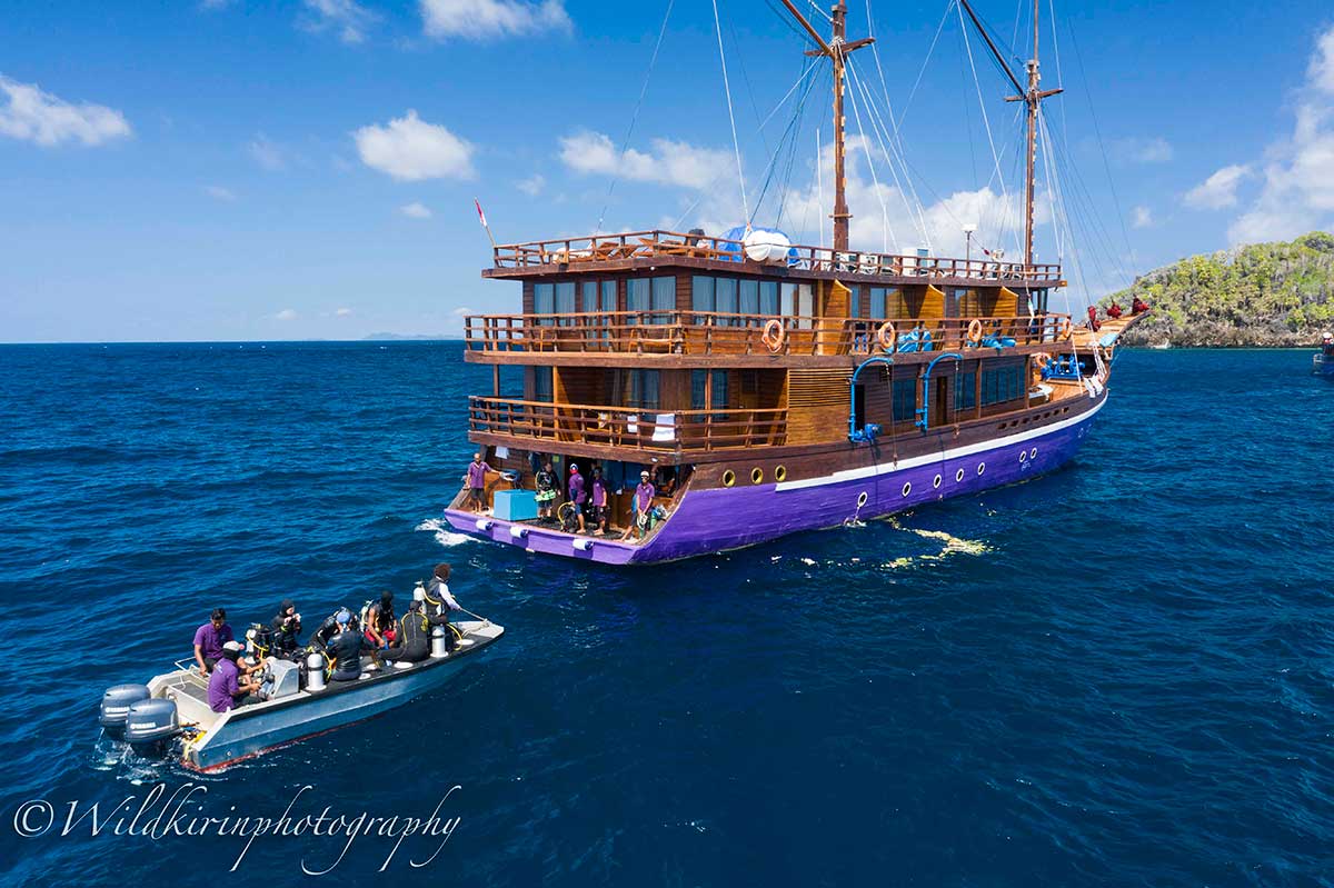 NEOMI GALLERY Diving Indonesia | Komodo | Raja Ampat | Bandaneira