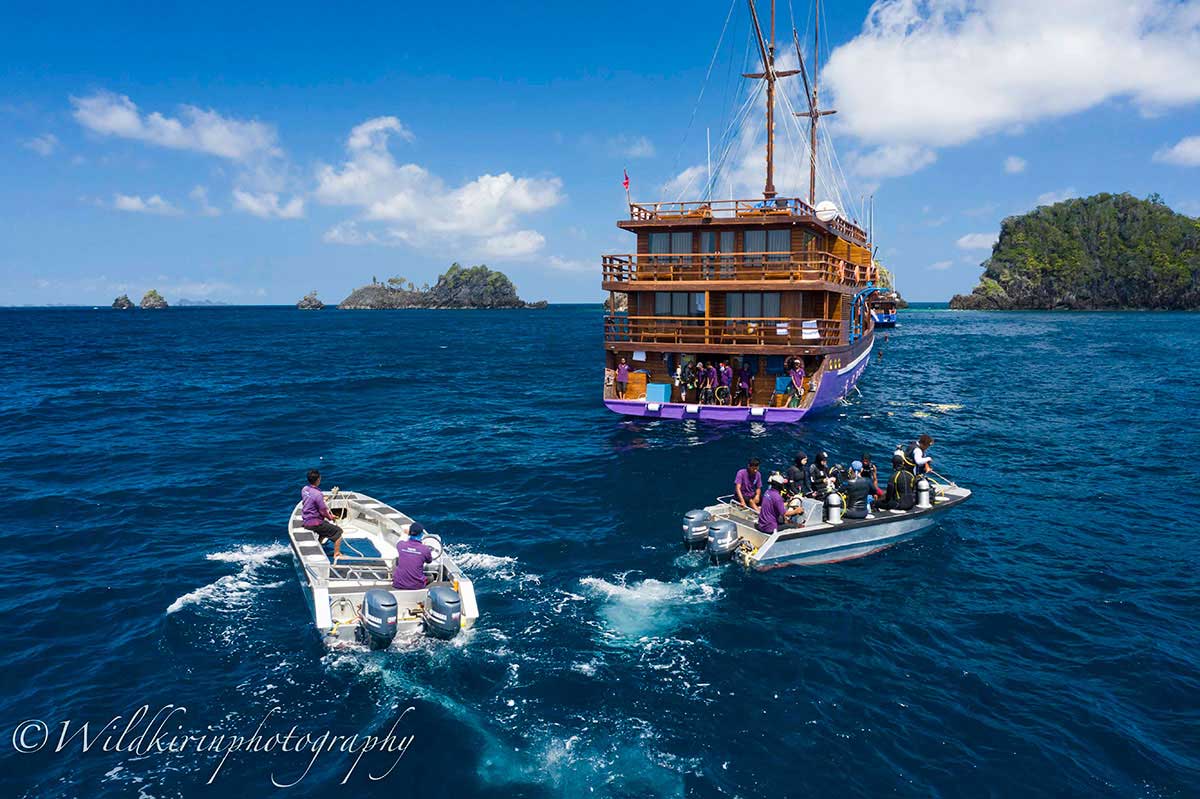 NEOMI GALLERY Diving Indonesia | Komodo | Raja Ampat | Bandaneira
