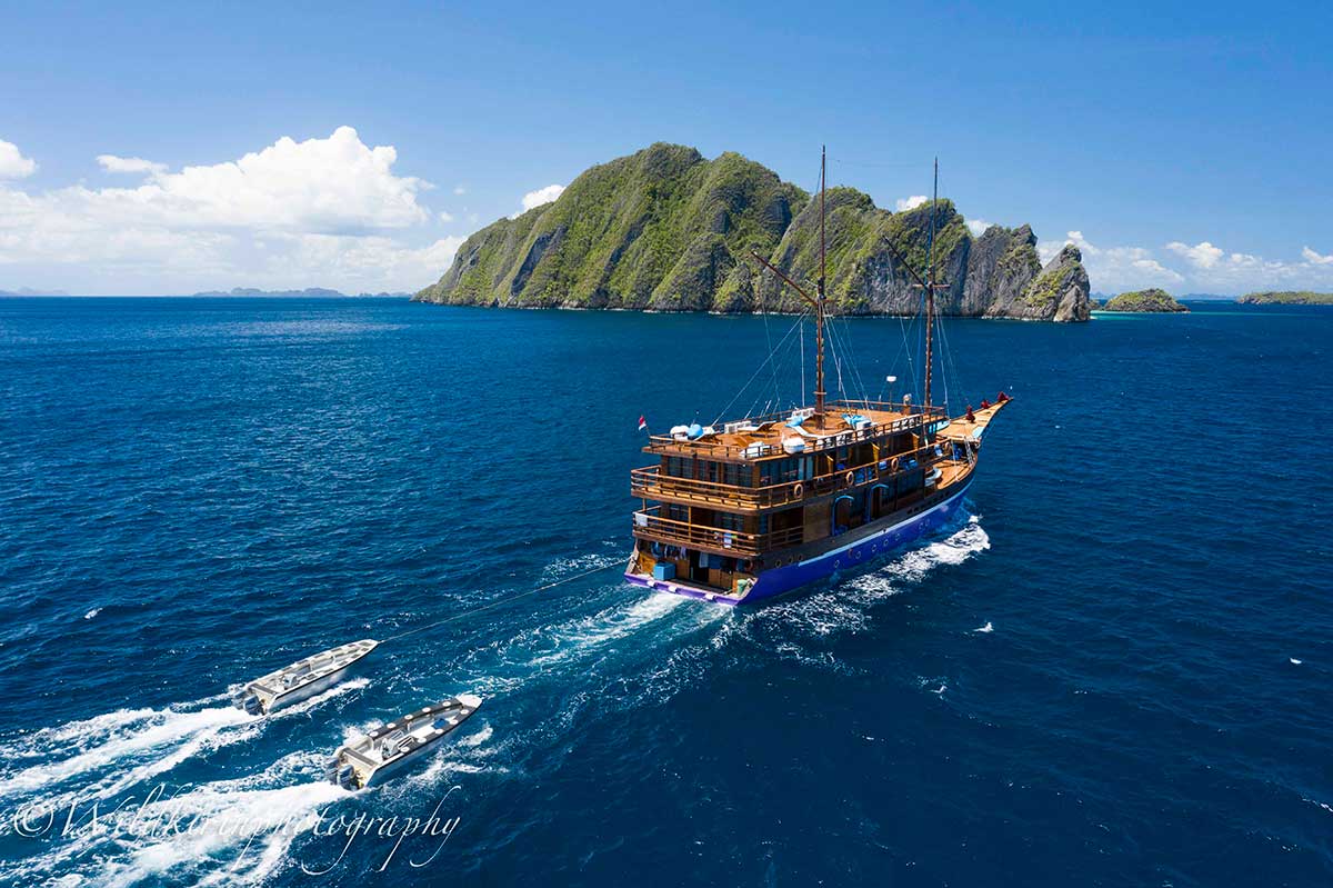 NEOMI GALLERY Diving Indonesia | Komodo | Raja Ampat | Bandaneira